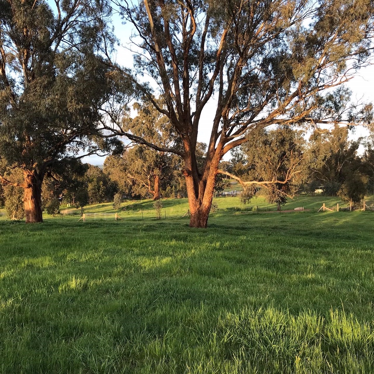 Bonnie Doon Community Group – A not-for-profit community initiative ...